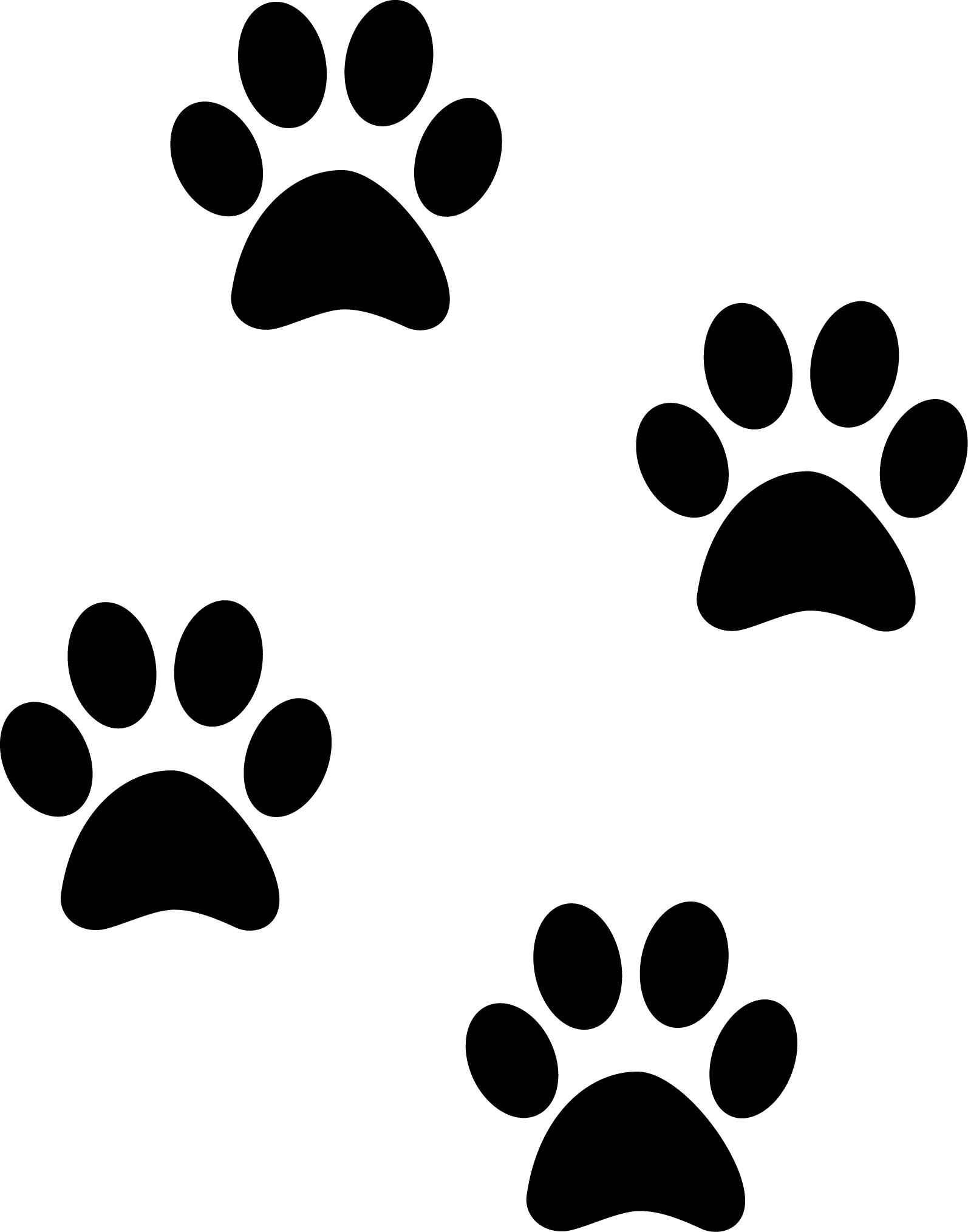 Allevamento di Gatti Ragdoll e British Nova Milanese, Lombardia - Lo ...